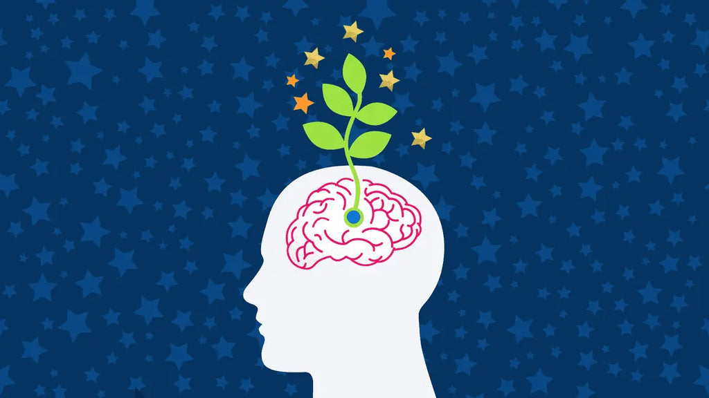 4 Signs That It's Time to Adjust Your Mindset - InfusedLights.com