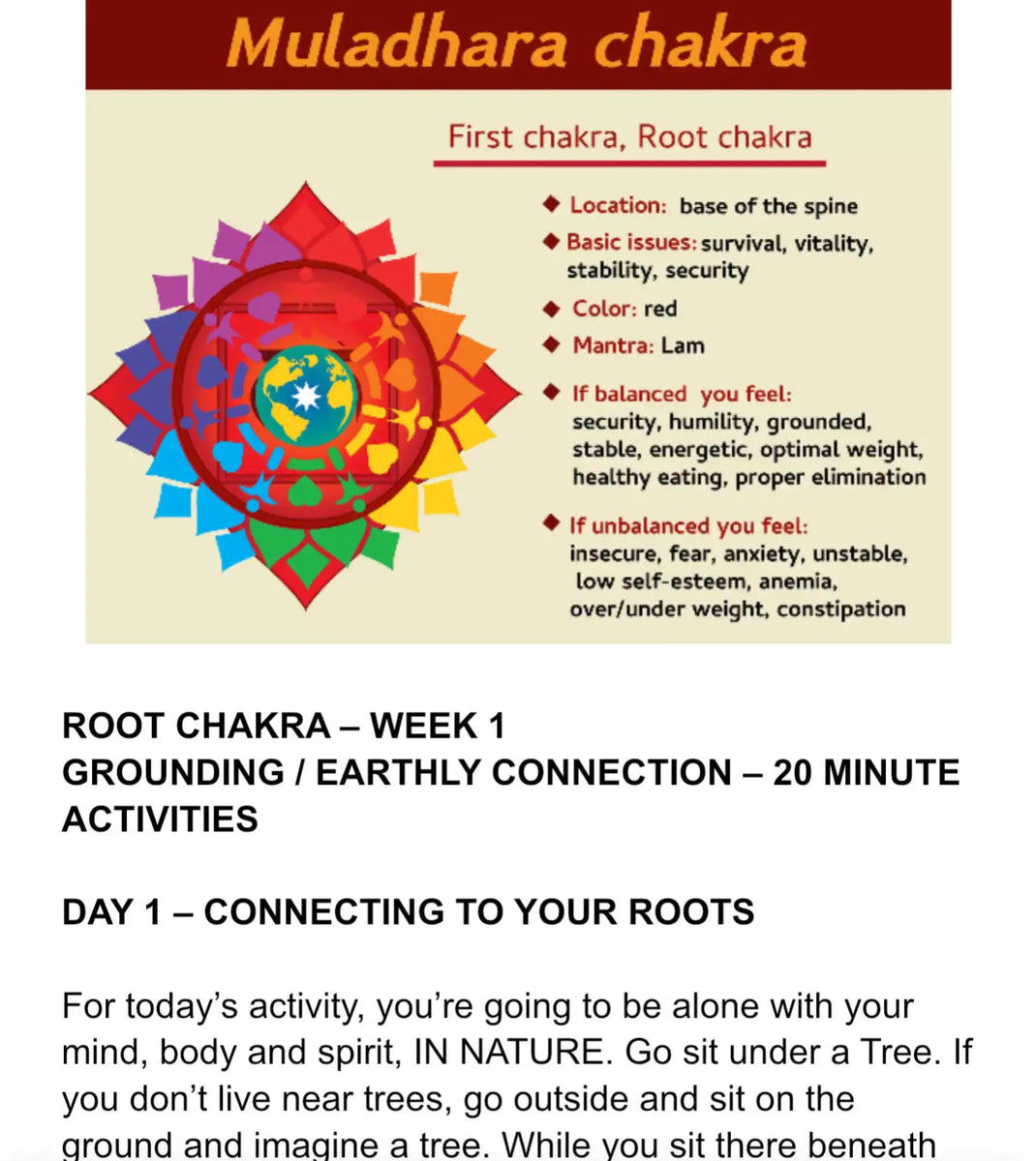 40 Day Divine Chakra Rebalancing – InfusedLights.com